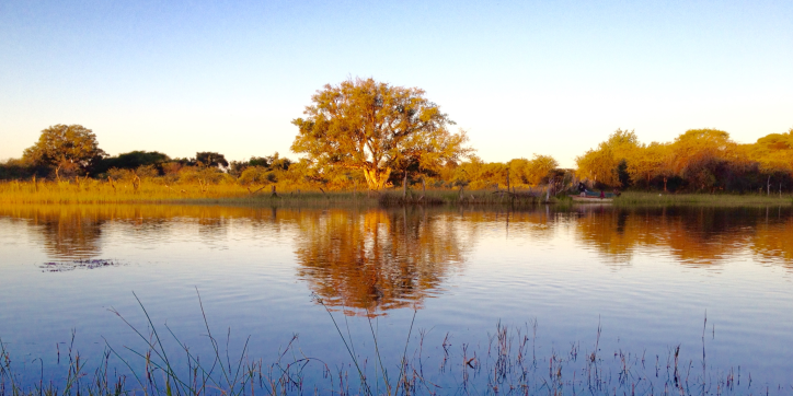Public Consultation: Development of Botswana Forest Stewardship ...