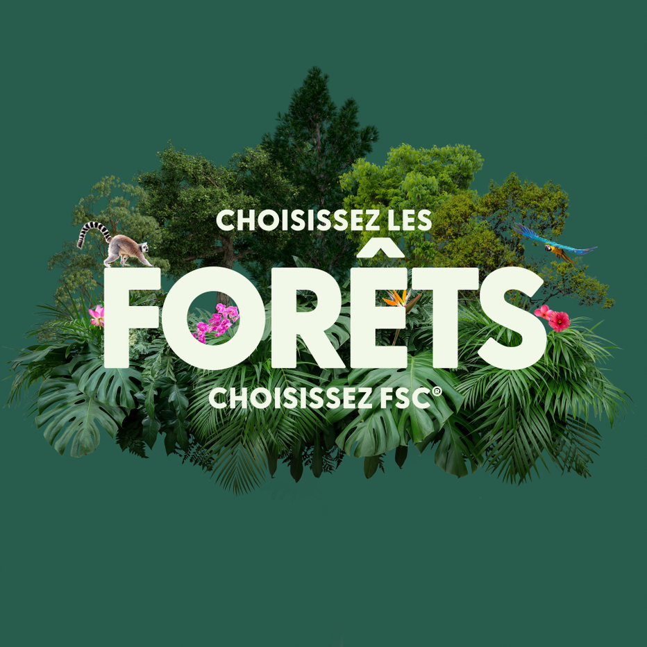 Celebrate forests with us during FSC Forest Week 2022 | Forest ...