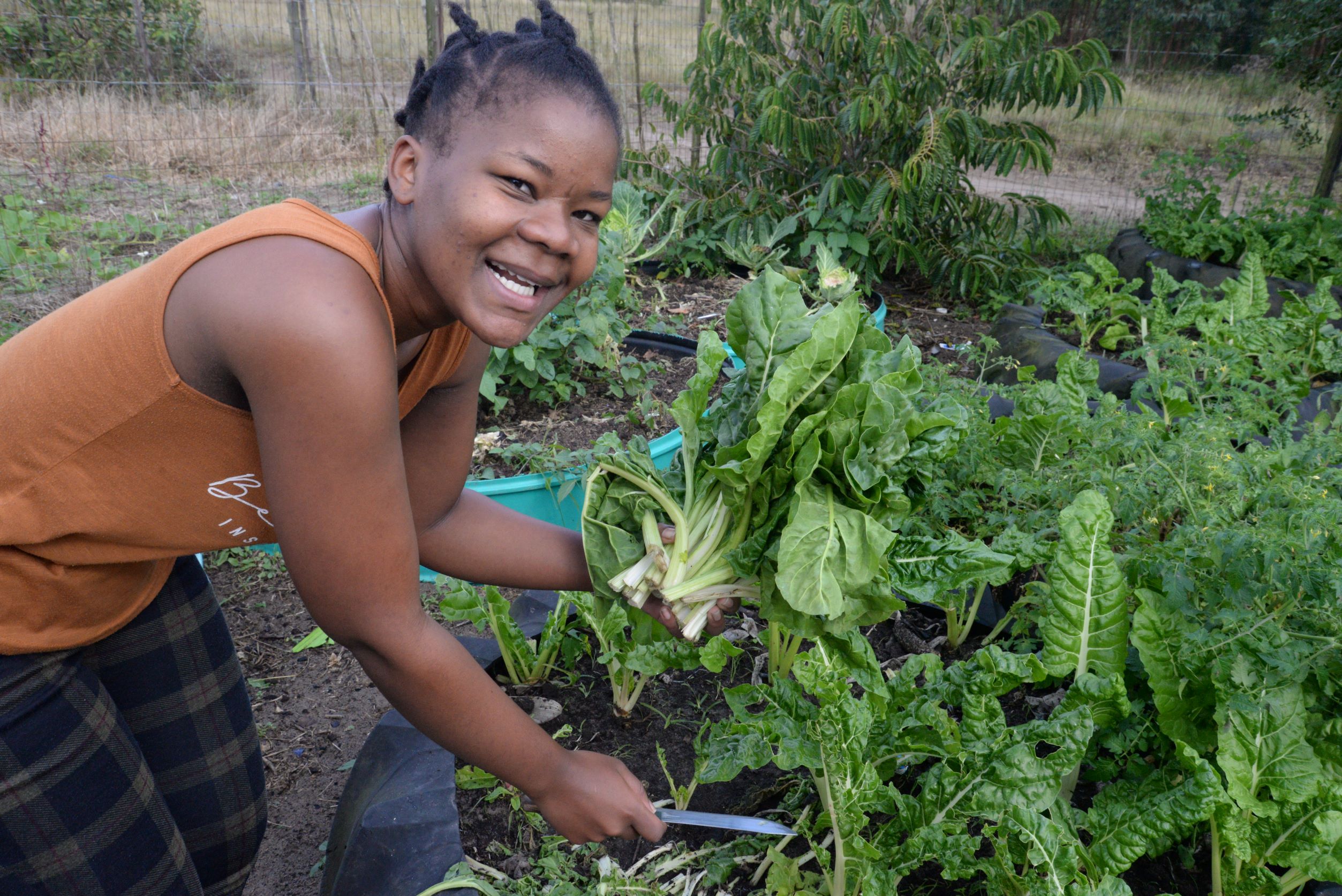 Helping rural women to cultivate ‘good food for all’ | Forest ...