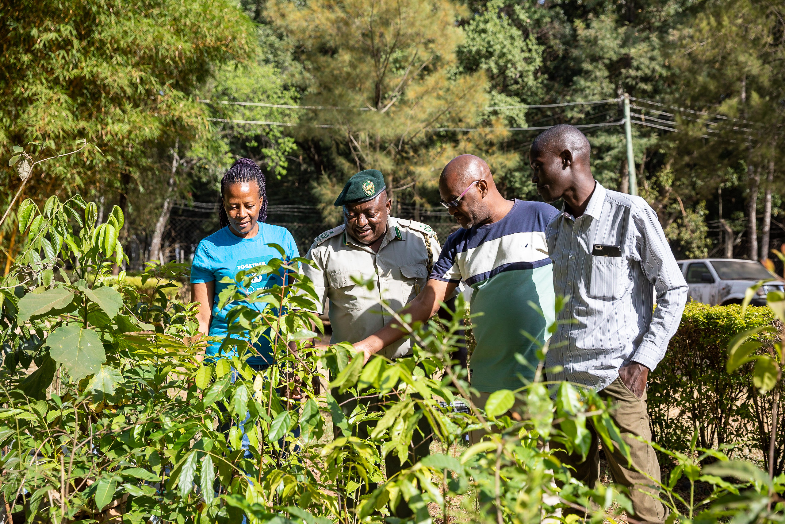 In Western Kenya, FSC Eastern Africa offers continuous improvement training to tree growers ...