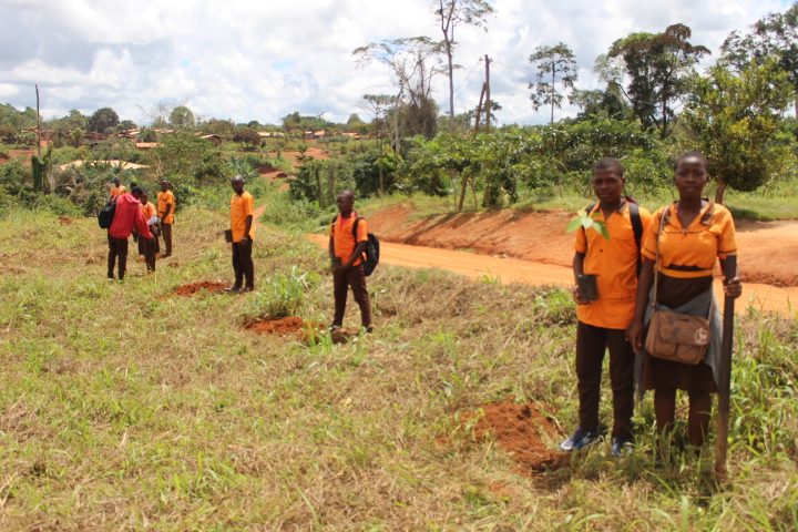 Public consultation on the draft Interim Forest Stewardship Standard (IFSS) for Liberia | Forest ...
