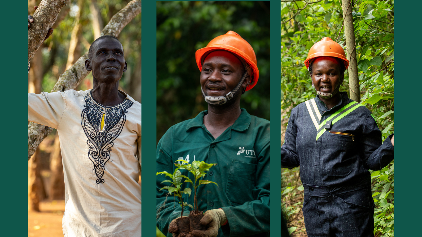 Restoring the West Bugwe Central Forest Reserve and changing lives ...