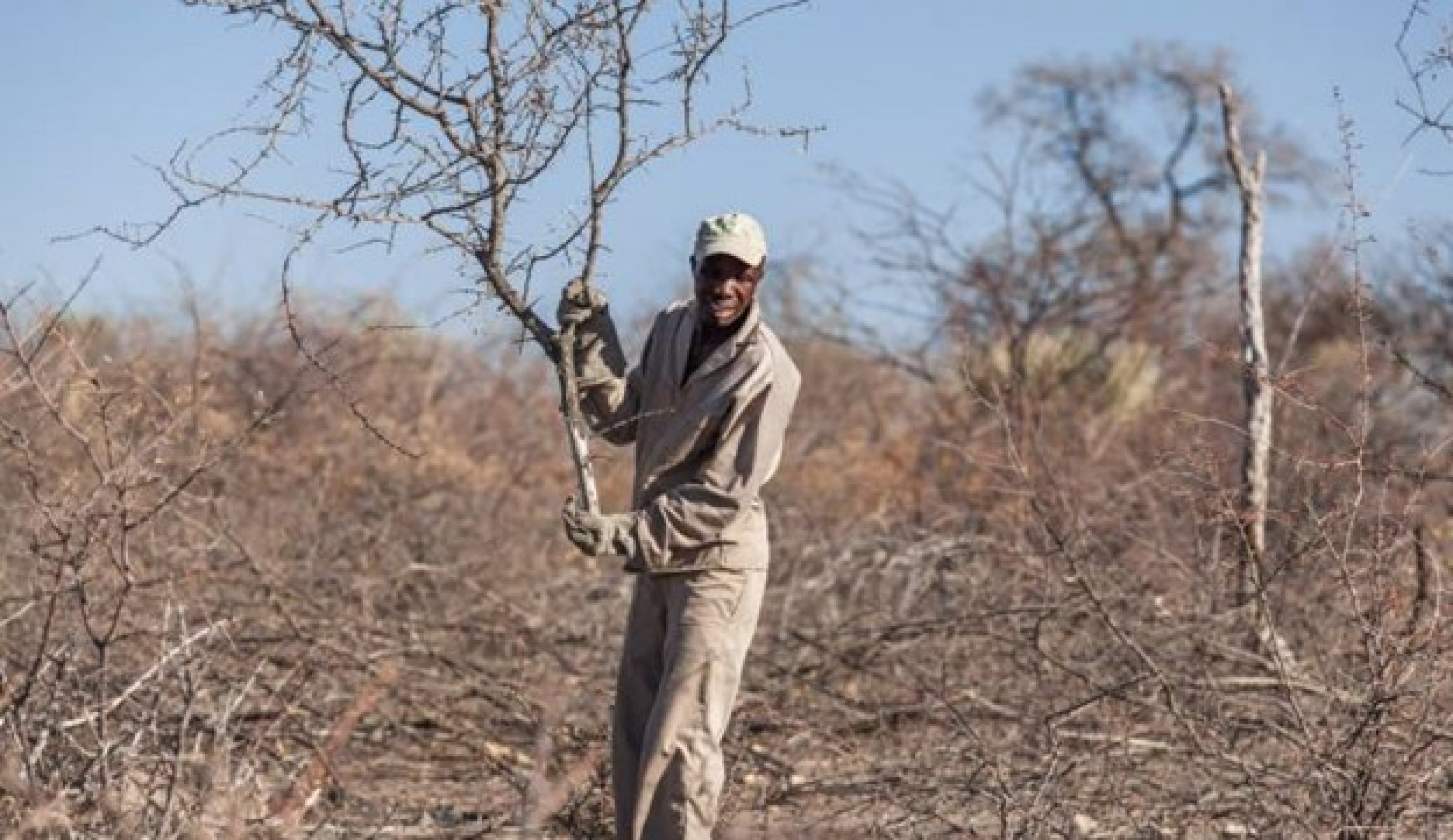 Award for FSC™ Charcoal Project in Namibia goes to ALDI SÜD and ALDI ...